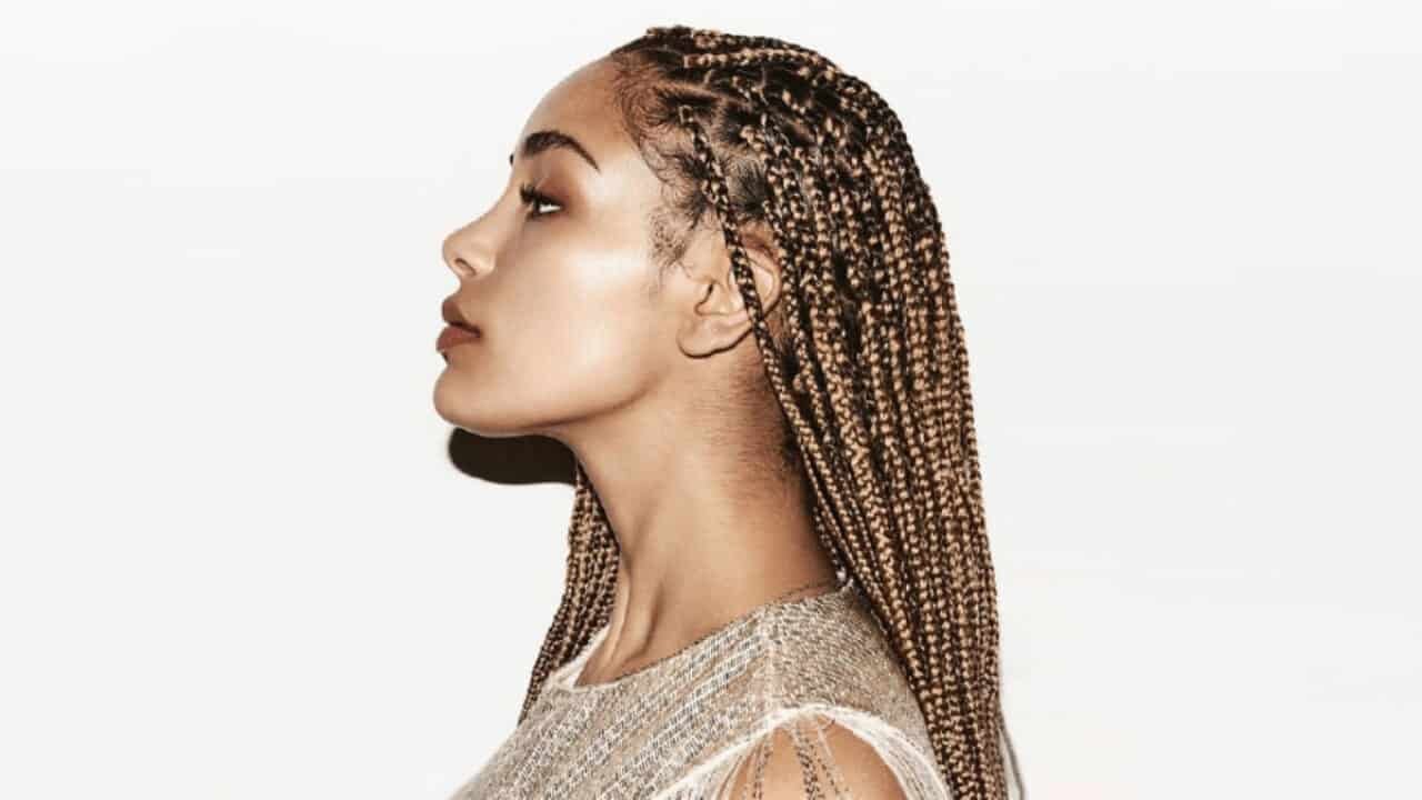 Micro Braids - Everything you would like to Know - Fashionuer