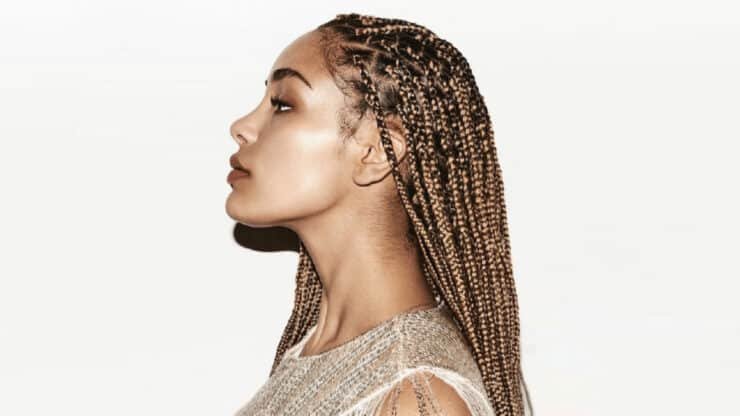 Micro Braids - Everything you would like to Know - Fashionuer