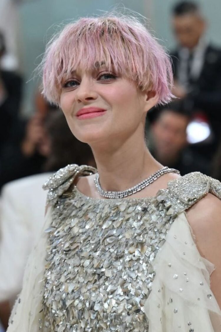 20 Chic Met Gala Hairstyles: From Glamour To Avant-Garde